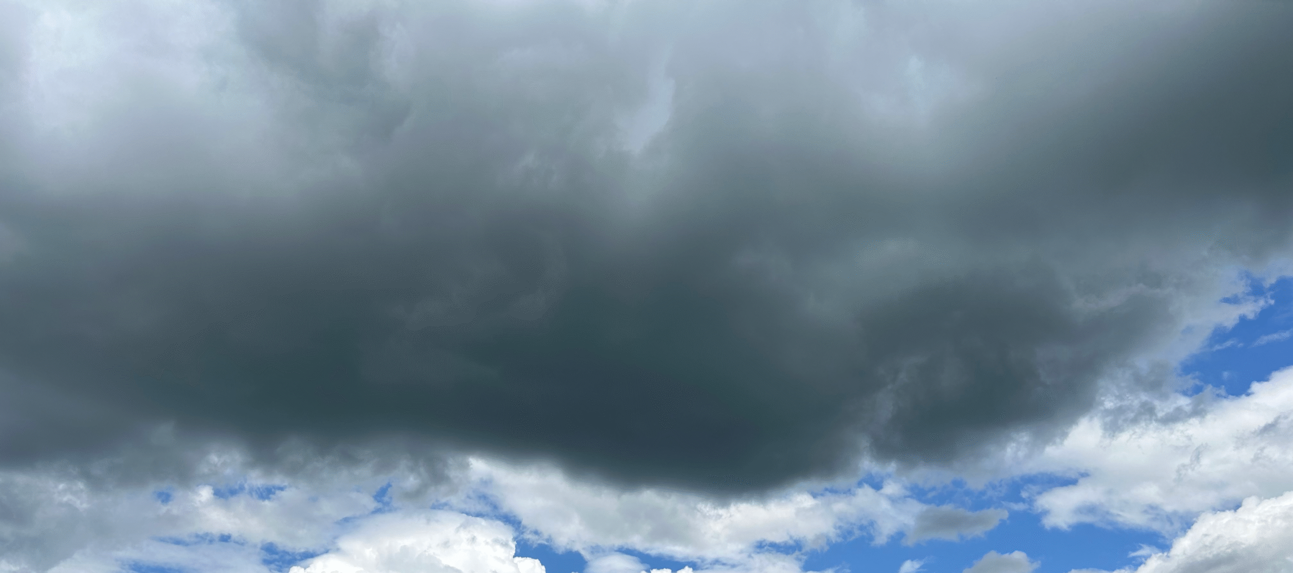 A Marriage and 20 Divorces in North Carolina Legislative Records (1807 ...